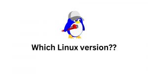 How to Check Your Linux OS Version - IT Granules Blog